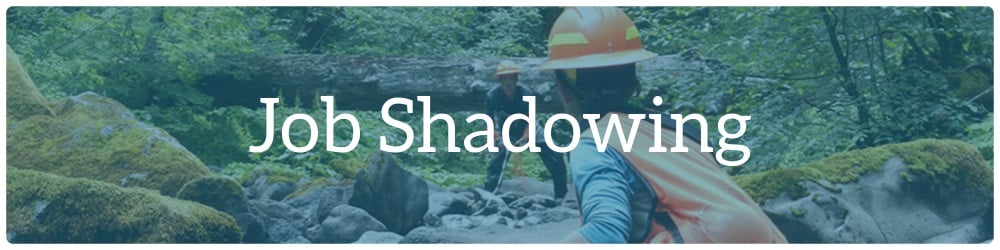 11 Textbook Alternatives That Teachers Love